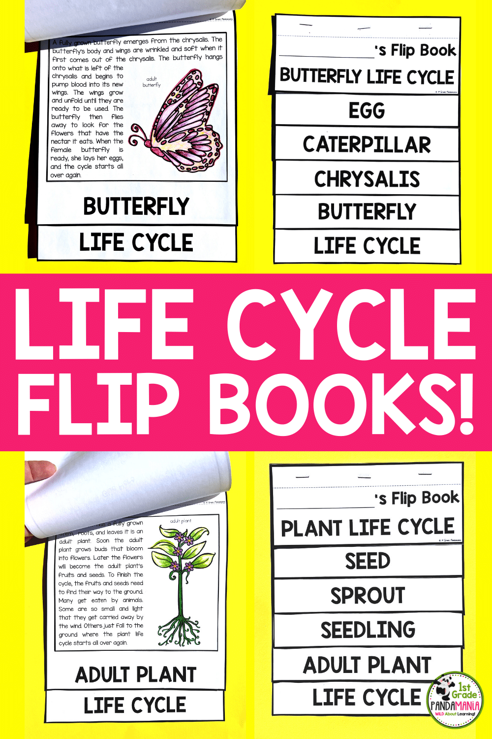 EASY FLIP Book Fun For Plant And Animal Life Cycles | 1st Grade Pandamania