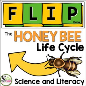 EASY FLIP Book Fun For Plant And Animal Life Cycles - 1st Grade Pandamania