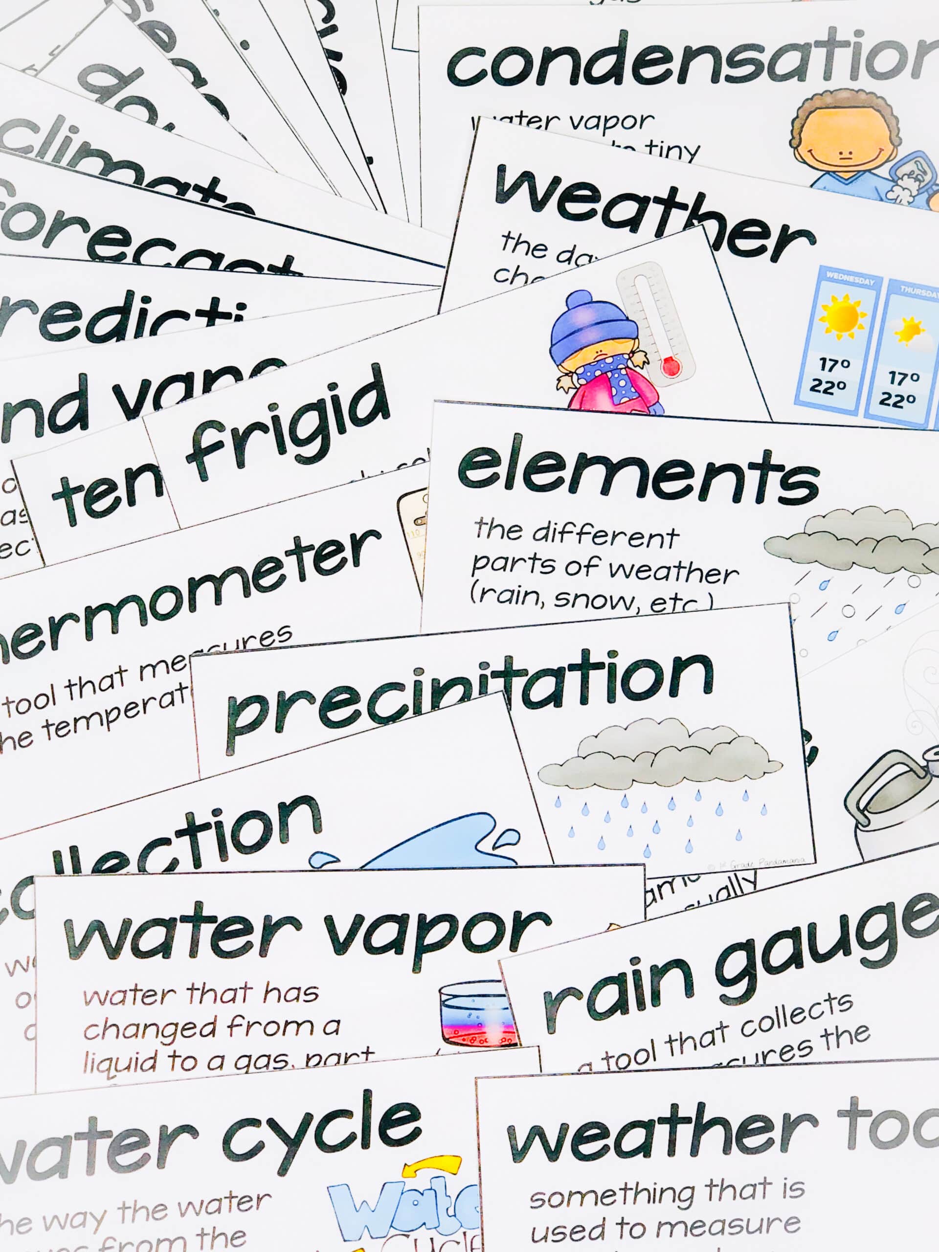 FREE Water Cycle Activity With Science Lesson Plan | 1st Grade Pandamania