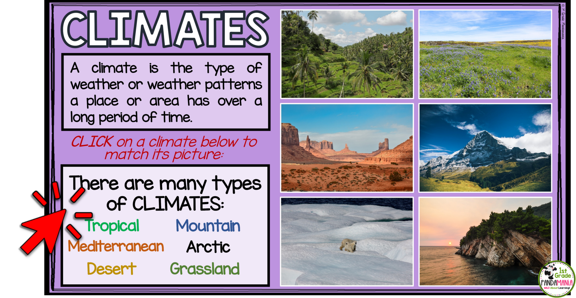 FREE Water Cycle Activity With Science Lesson Plan | 1st Grade Pandamania