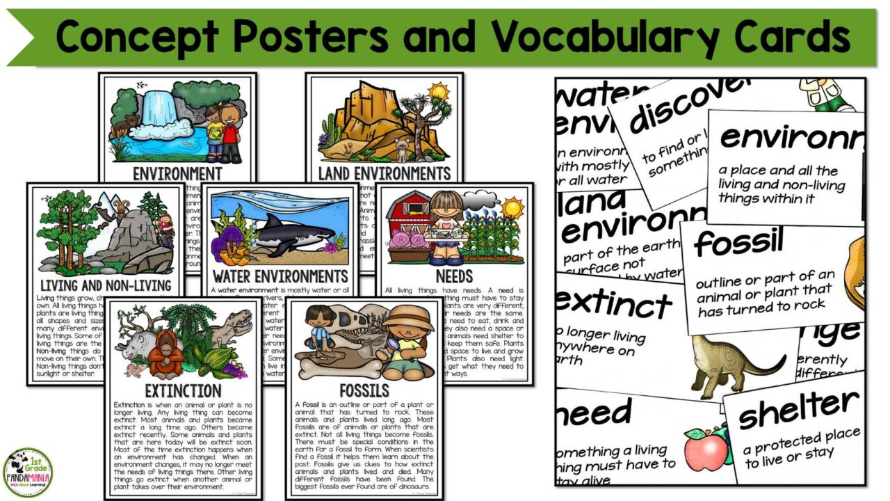Living And Non-Living Things Characteristics And Environments Primary ...
