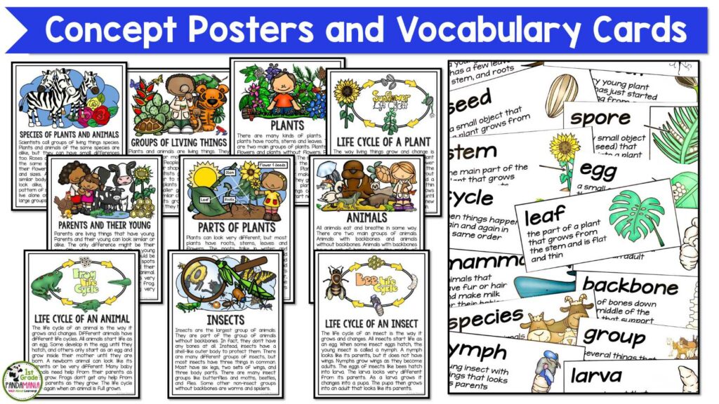 Living Things Characteristics And Life Cycles Of Plants And Animals ...