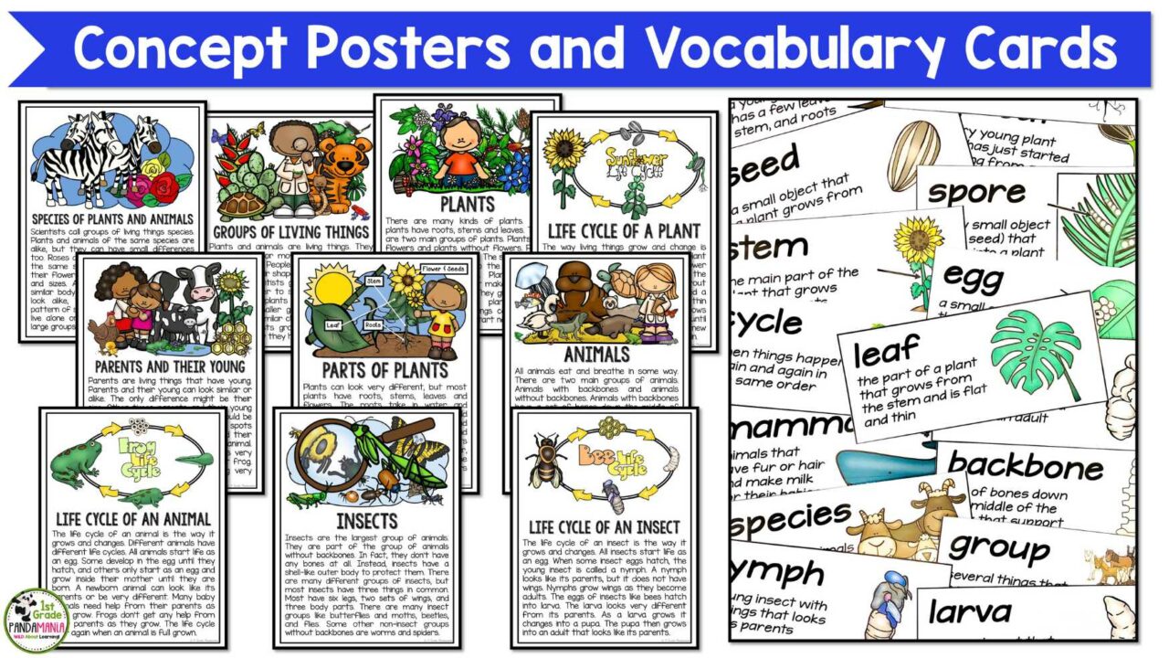 Living Things Characteristics And Life Cycles Of Plants And Animals ...