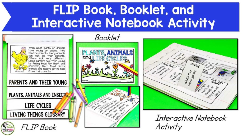 Living Things Characteristics And Life Cycles Of Plants And Animals ...
