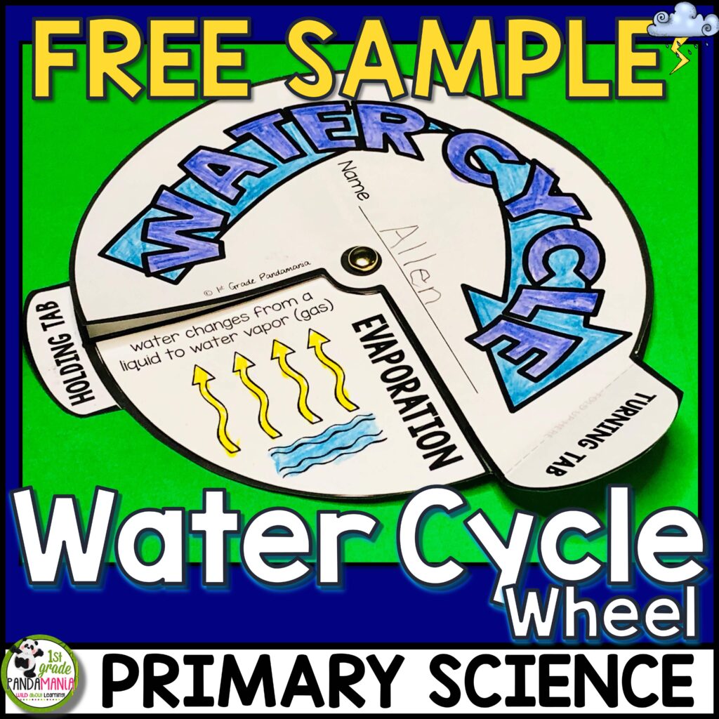FREE Water Cycle Activity With Science Lesson Plan | 1st Grade Pandamania