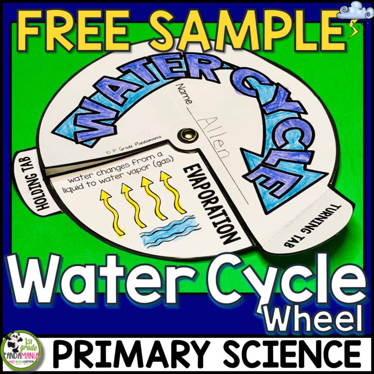 FREE Water Cycle Activity With Science Lesson Plan | 1st Grade Pandamania