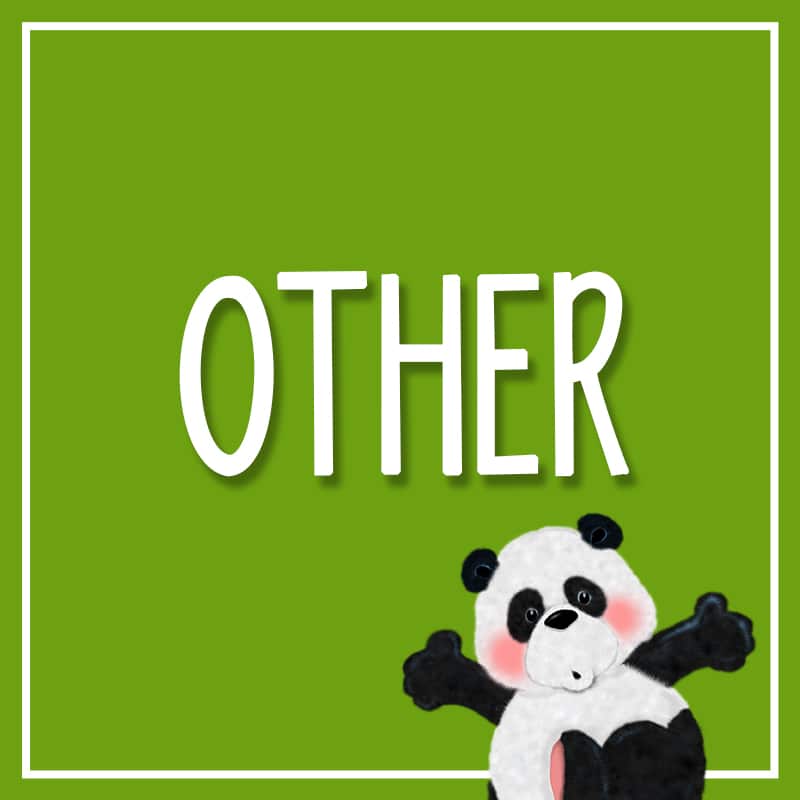Other Archives | 1st Grade Pandamania